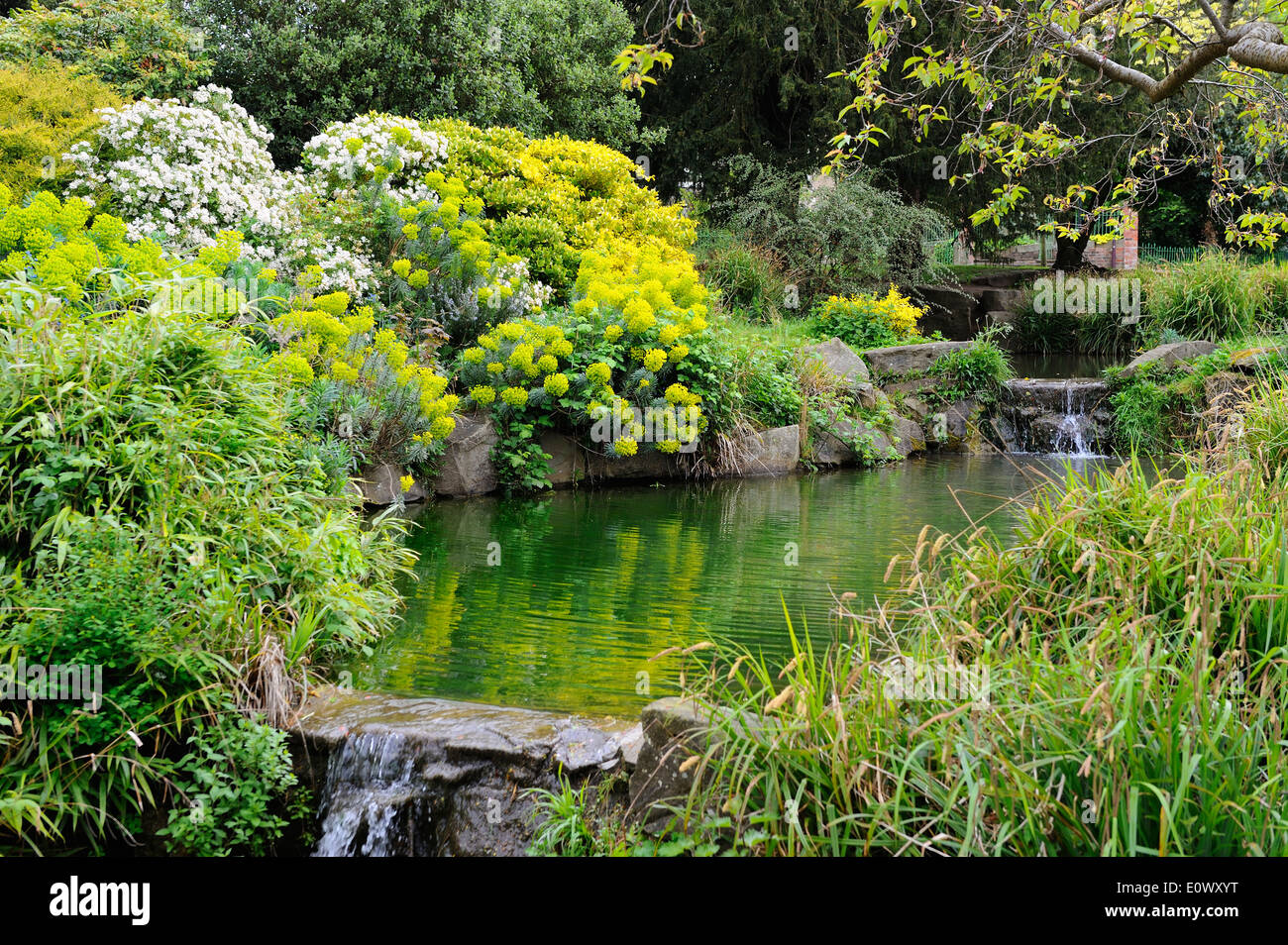 Water feature in Sandford Park, Cheltenham, Gloucestershire, England ...