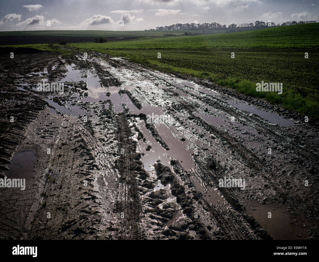 Many Allied troops were lost breaking the Hindenburg Line, last ...