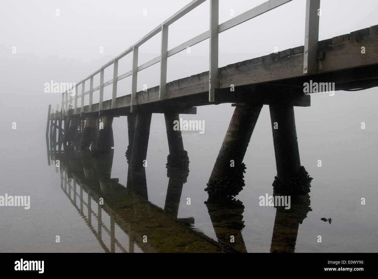 Jetty marlborough sounds south island hi-res stock photography and ...
