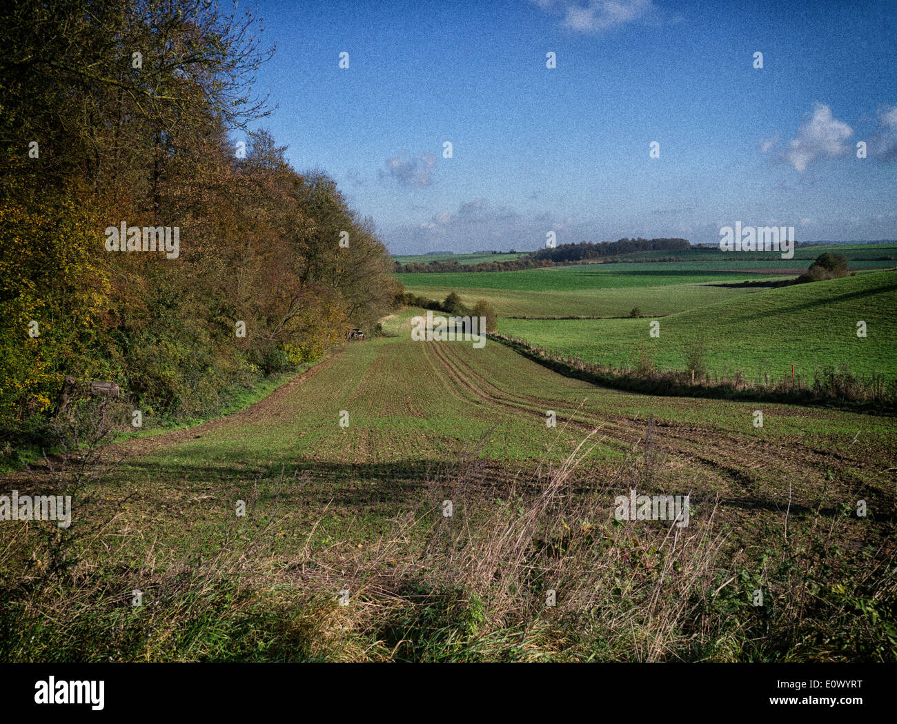 Many Allied troops were lost breaking the Hindenburg Line, last ...