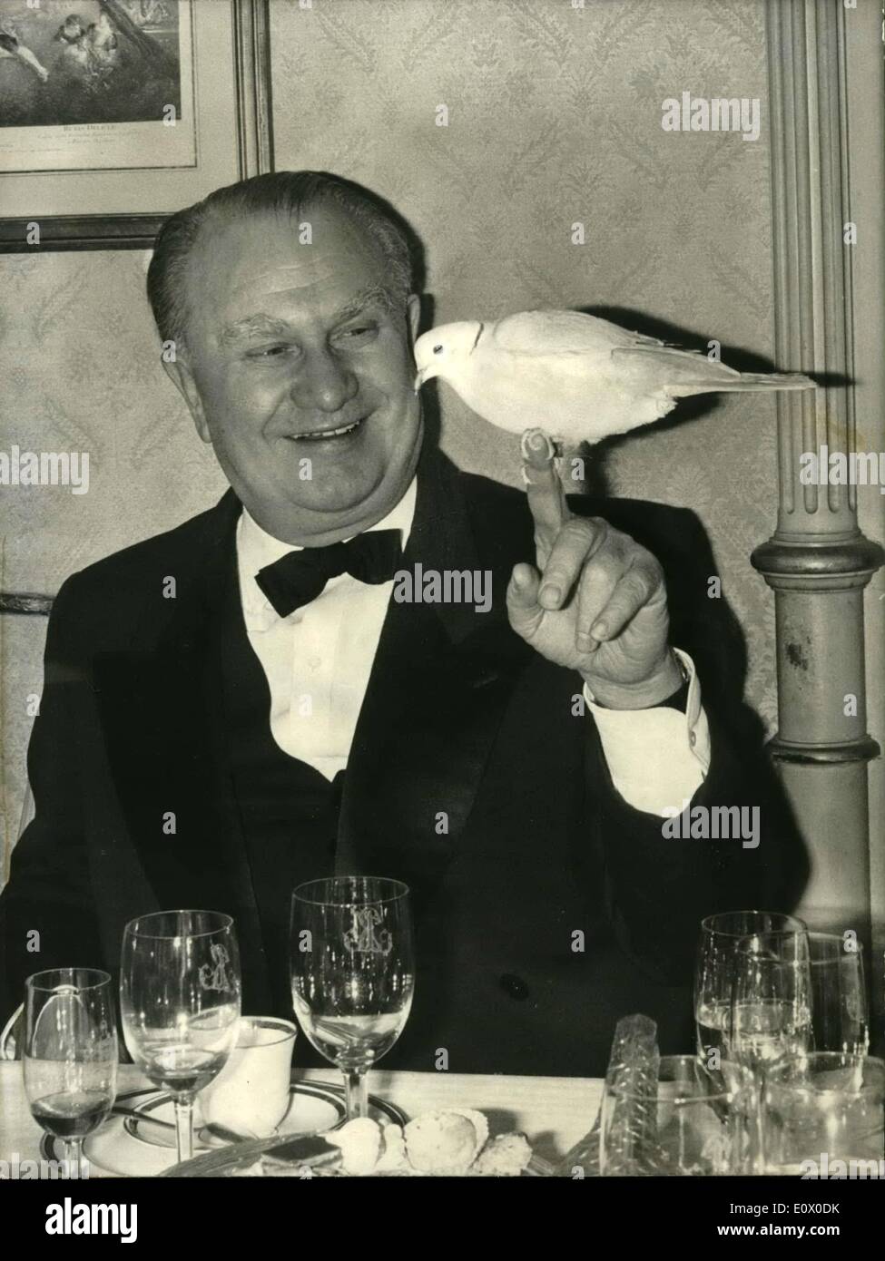 Nov. 11, 1964 - His excellency and the dove : Paris top furriers were ...