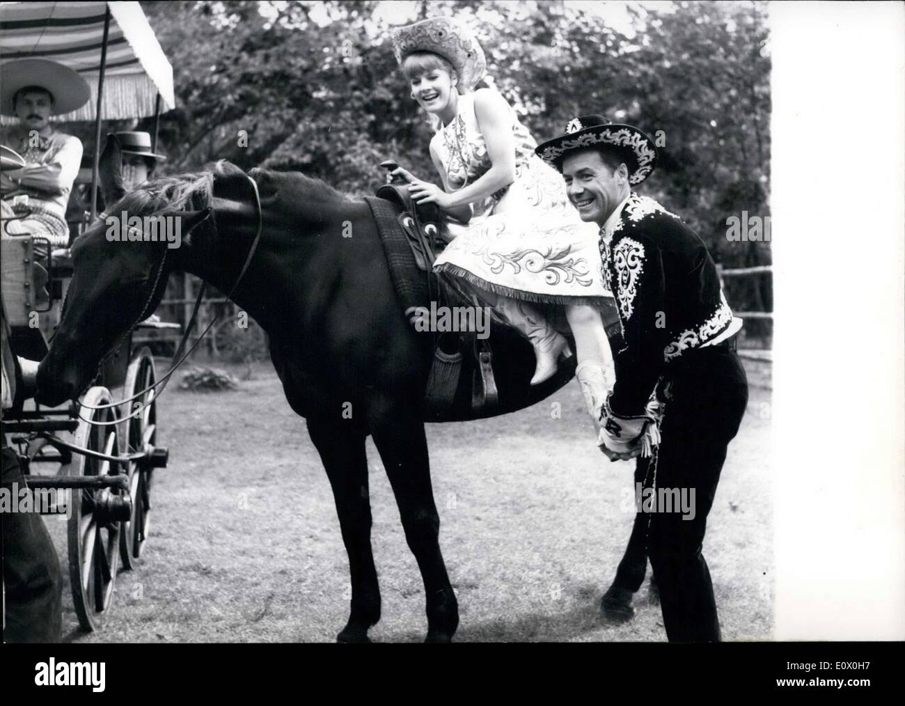 Trehy hi-res stock photography and images - Alamy