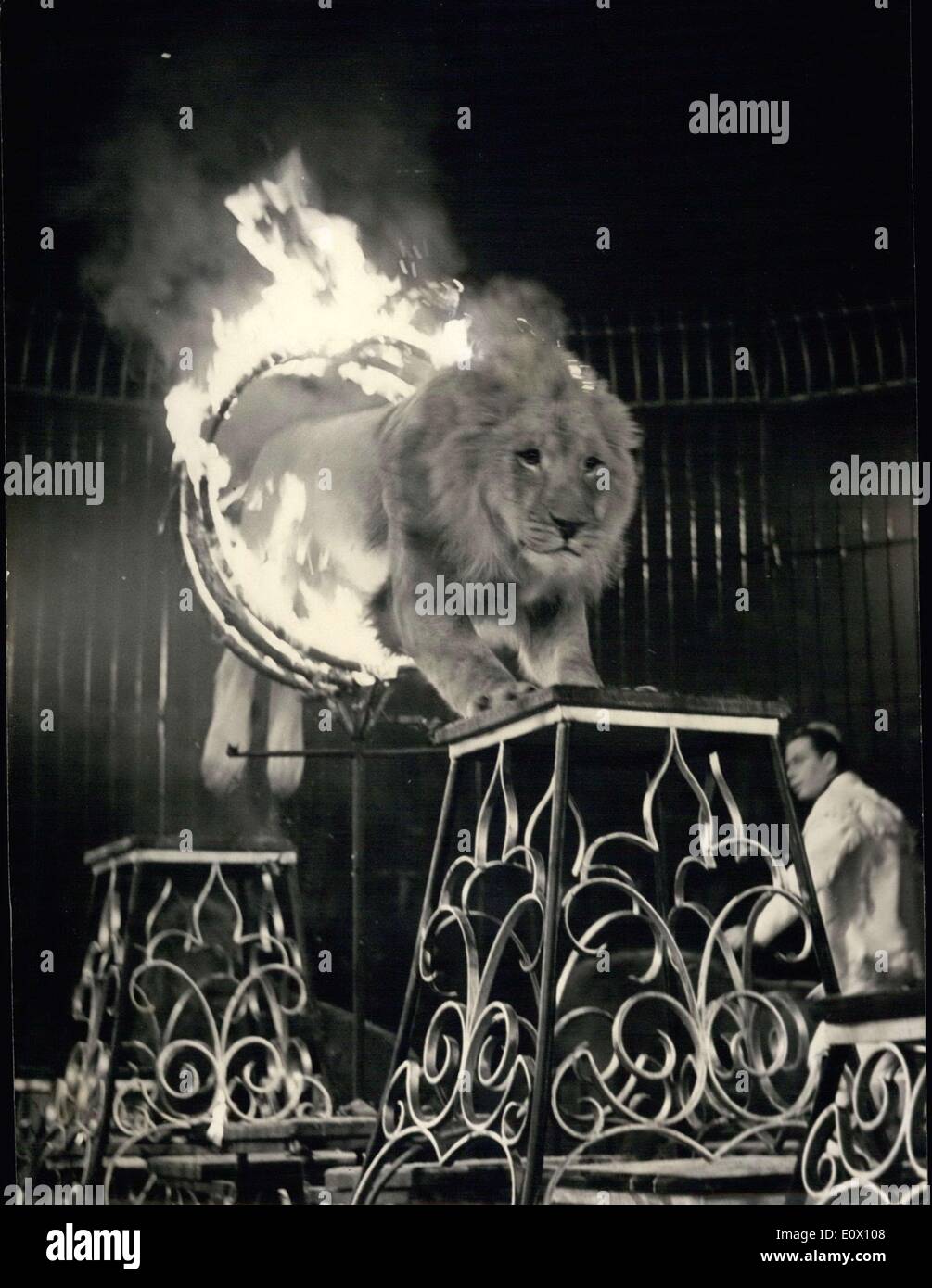 Circus tamer hi-res stock photography and images - Alamy