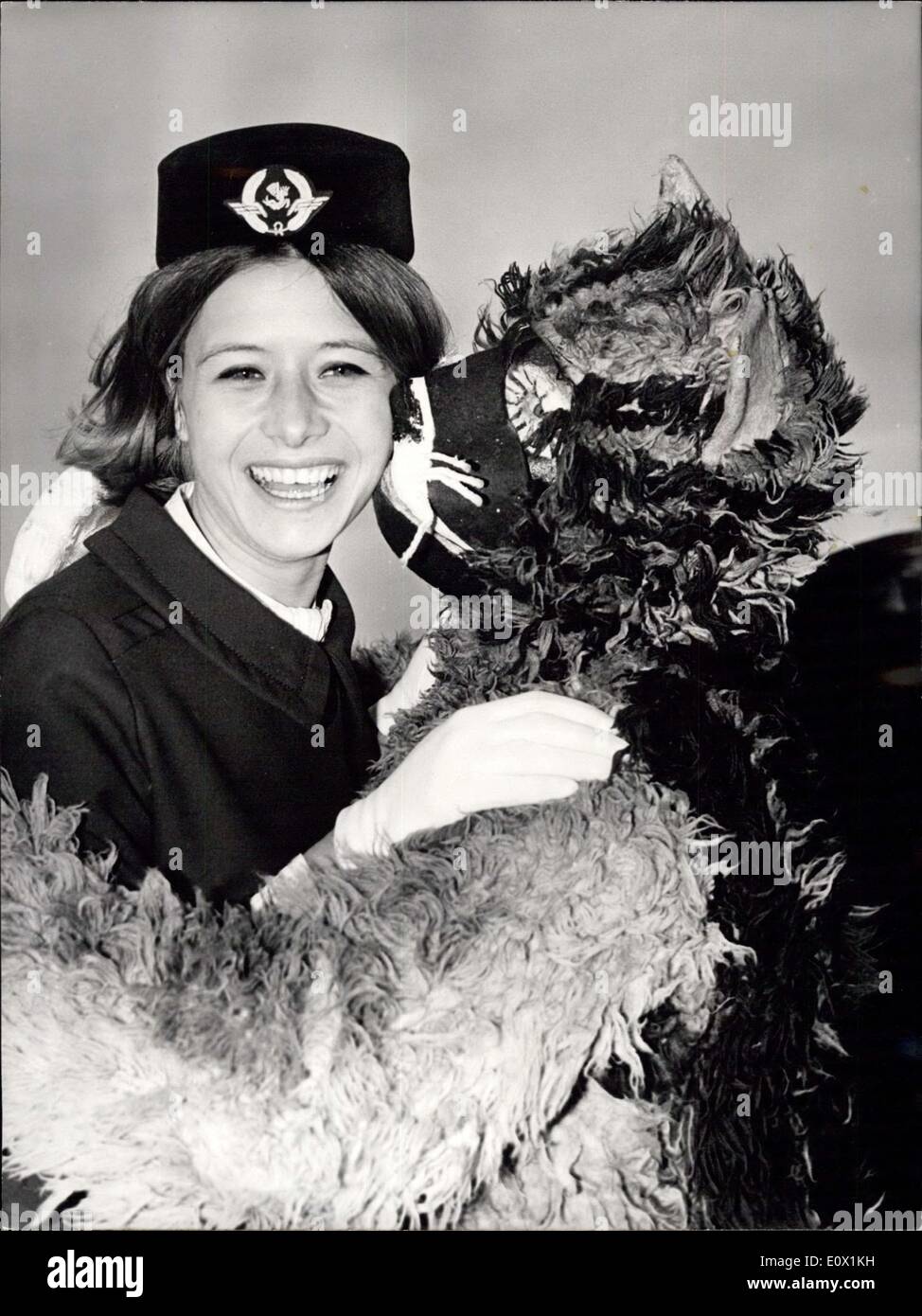 Oct. 27, 1964 - The cat is AL Stevens-A kiss to the Air Host Photo ...