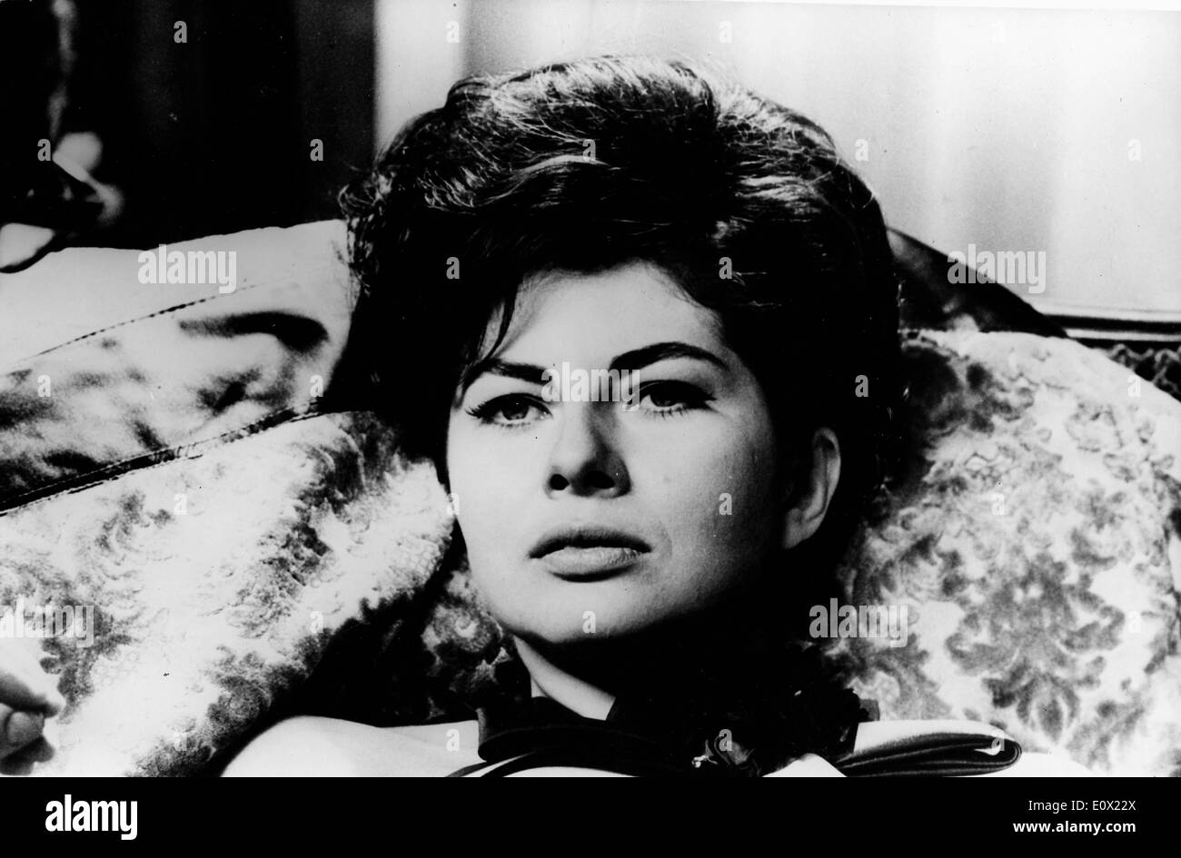 Soraya Sanchez's Instagram, Twitter & Facebook on IDCrawl