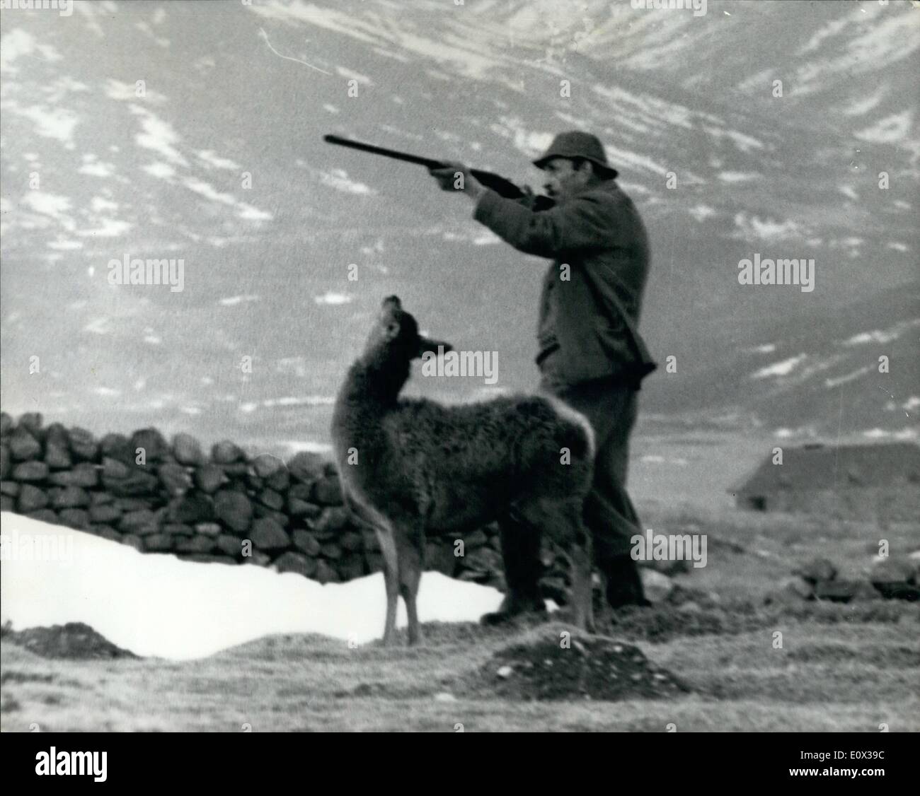 Mar. 03, 1965 - The Hunter And The Hunted - Come To Terms: Daily ...