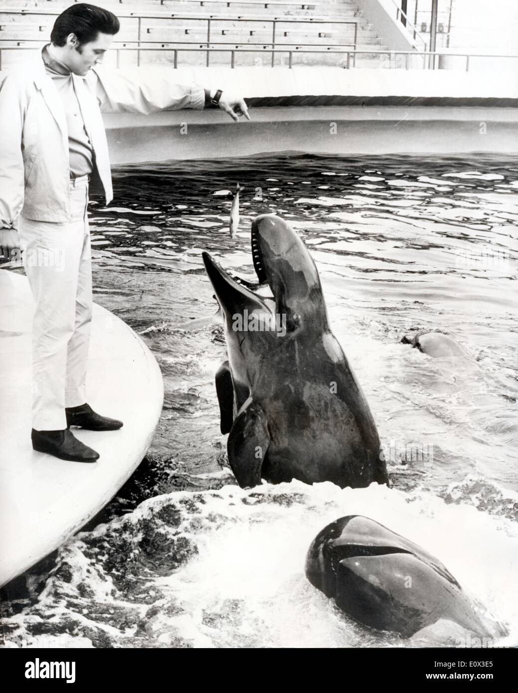 Elvis aaron presley hi-res stock photography and images - Alamy