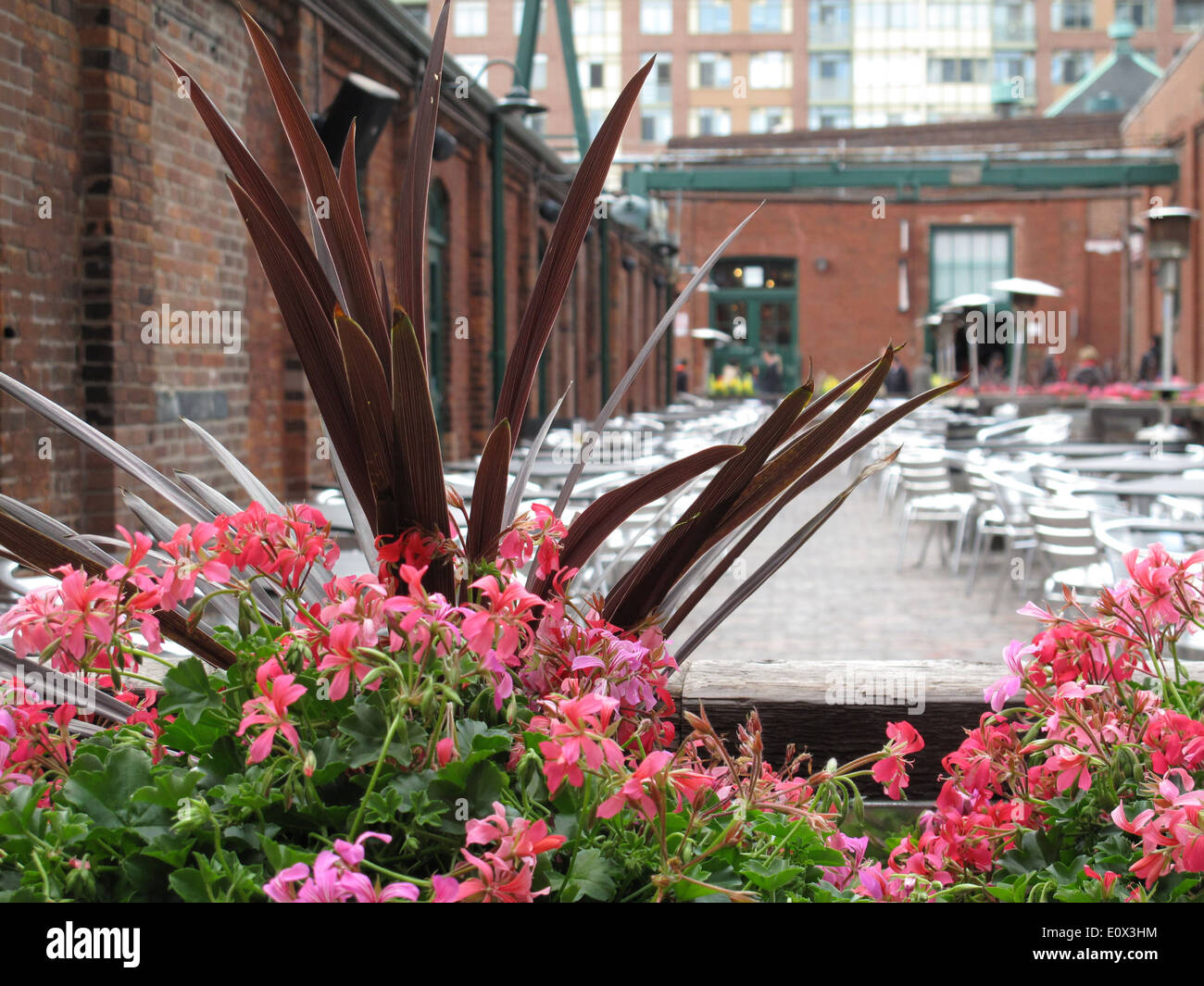 Old distillery historic district hi-res stock photography and images ...