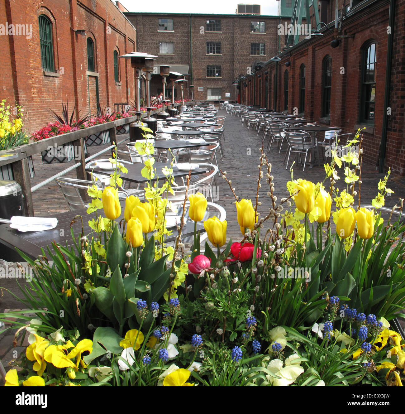 The Distillery District, Toronto, Ontario Stock Photo - Alamy