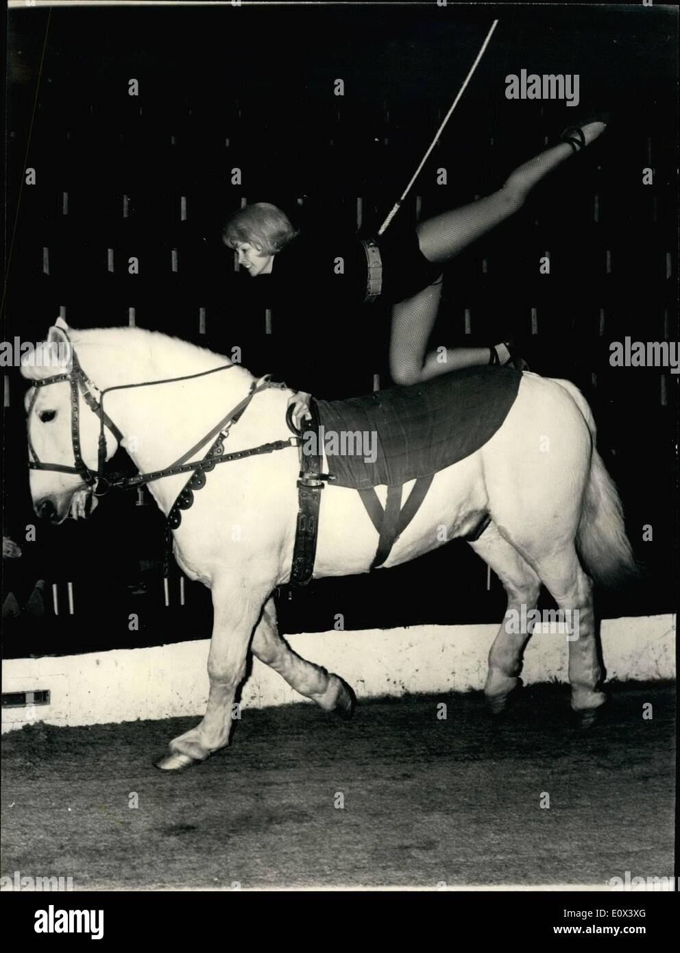 Dany robin hi-res stock photography and images - Alamy