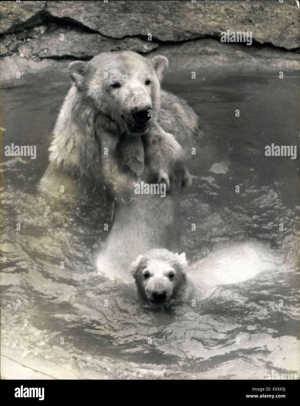 Baby polar bear new born hi-res stock photography and images - Alamy