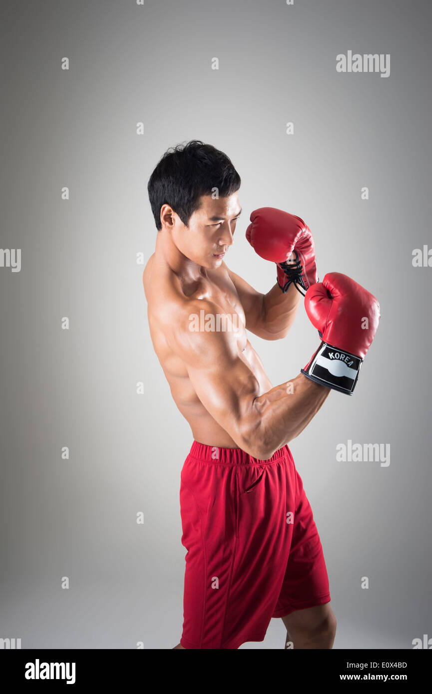 a boxer training for a fight Stock Photo - Alamy