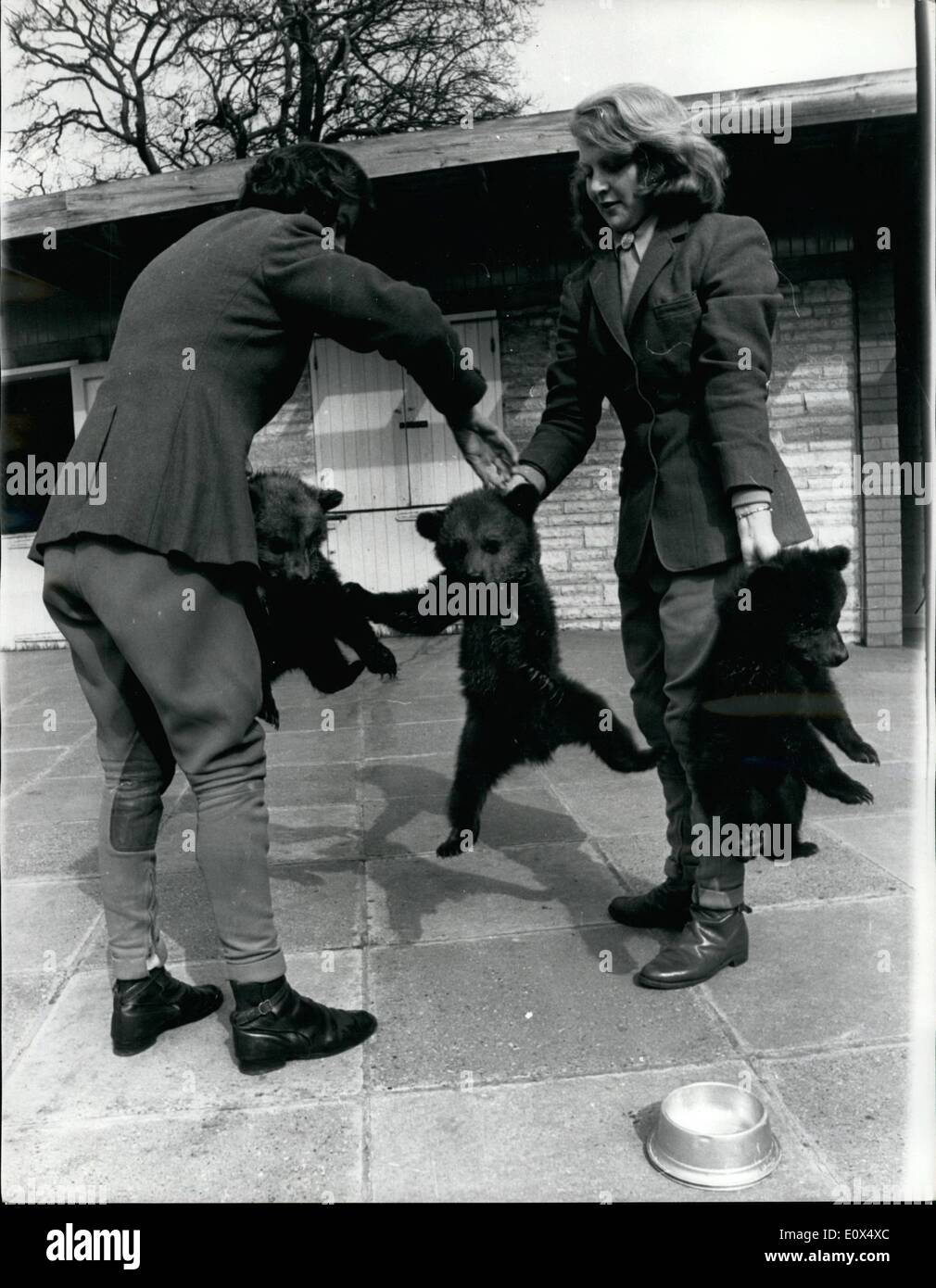 Apr. 04, 1965 - The brown Bear Cubs make their Debut.Named after ''Pop ...