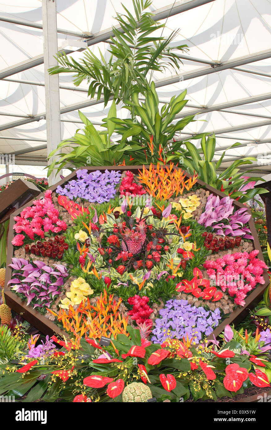 London, UK. 19th May, 2014. RHS Chelsea Flower Show VIP and Press Day ...