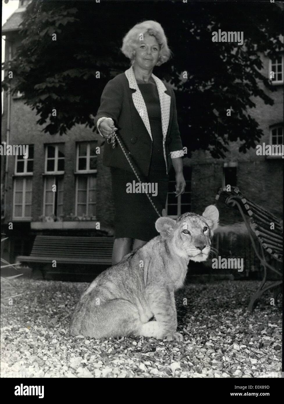 Sep. 09, 1965 - A New Life For Titus: ''Titus'', a young lion coming ...