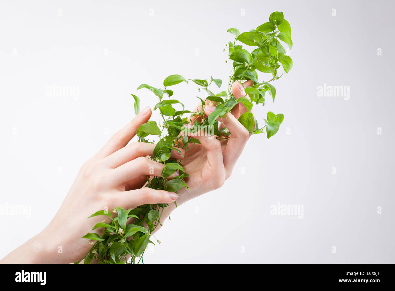 a woman grabbing a plant Stock Photo - Alamy