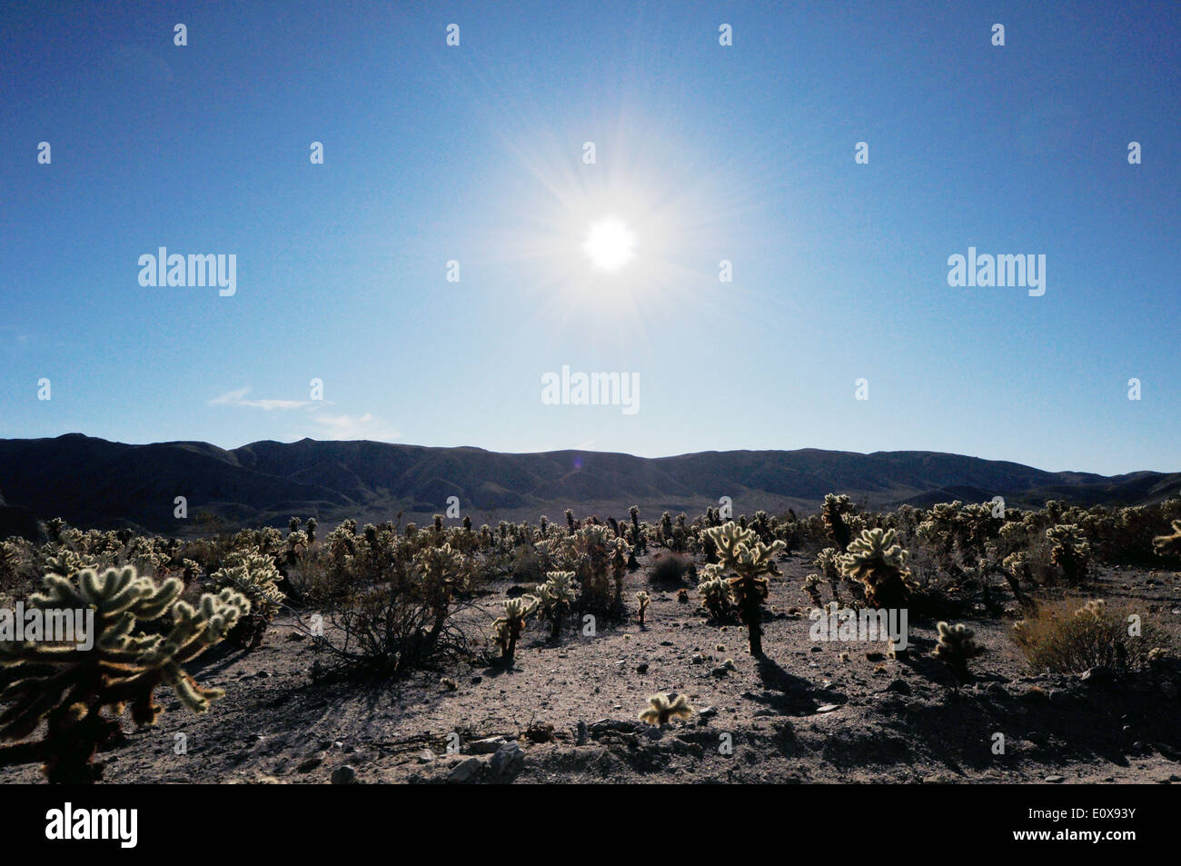 Blazing sun hi-res stock photography and images - Alamy