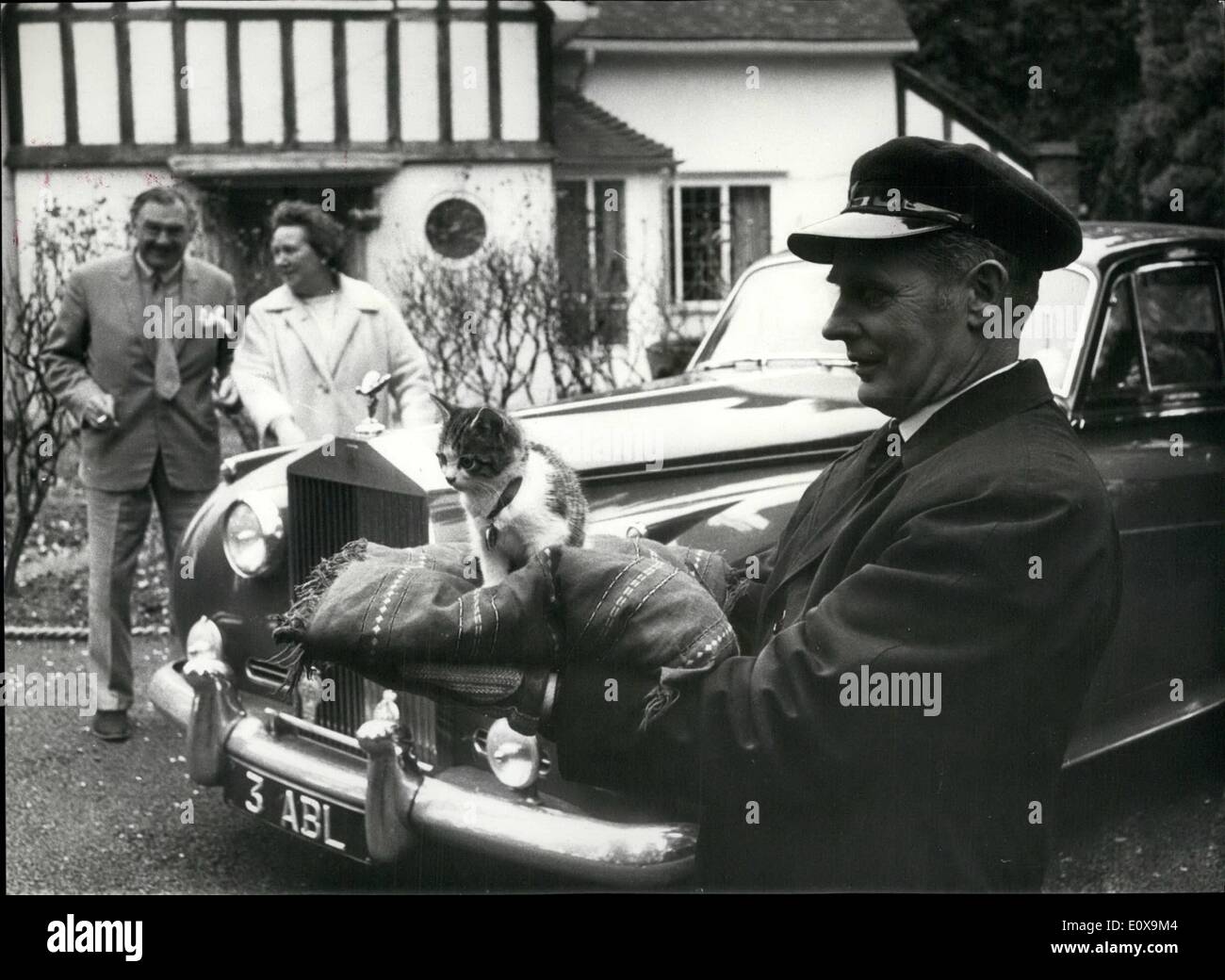 Dec. 12, 1965 - Holly The Kitten Goes To Her New Home By Rolls: Last ...