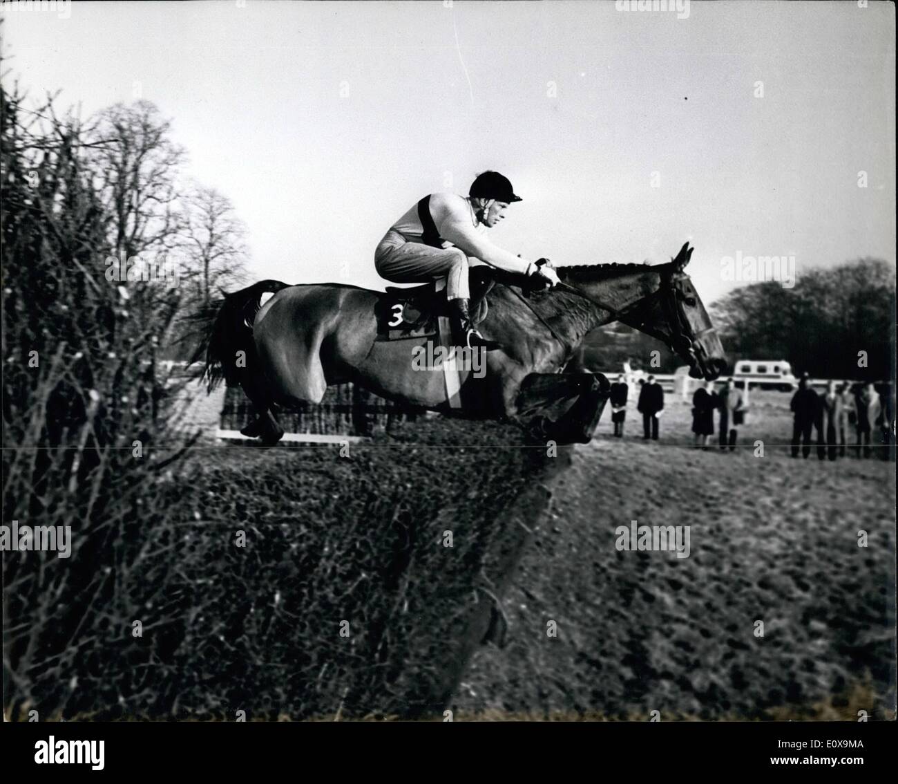 Arkle horse hi-res stock photography and images - Alamy