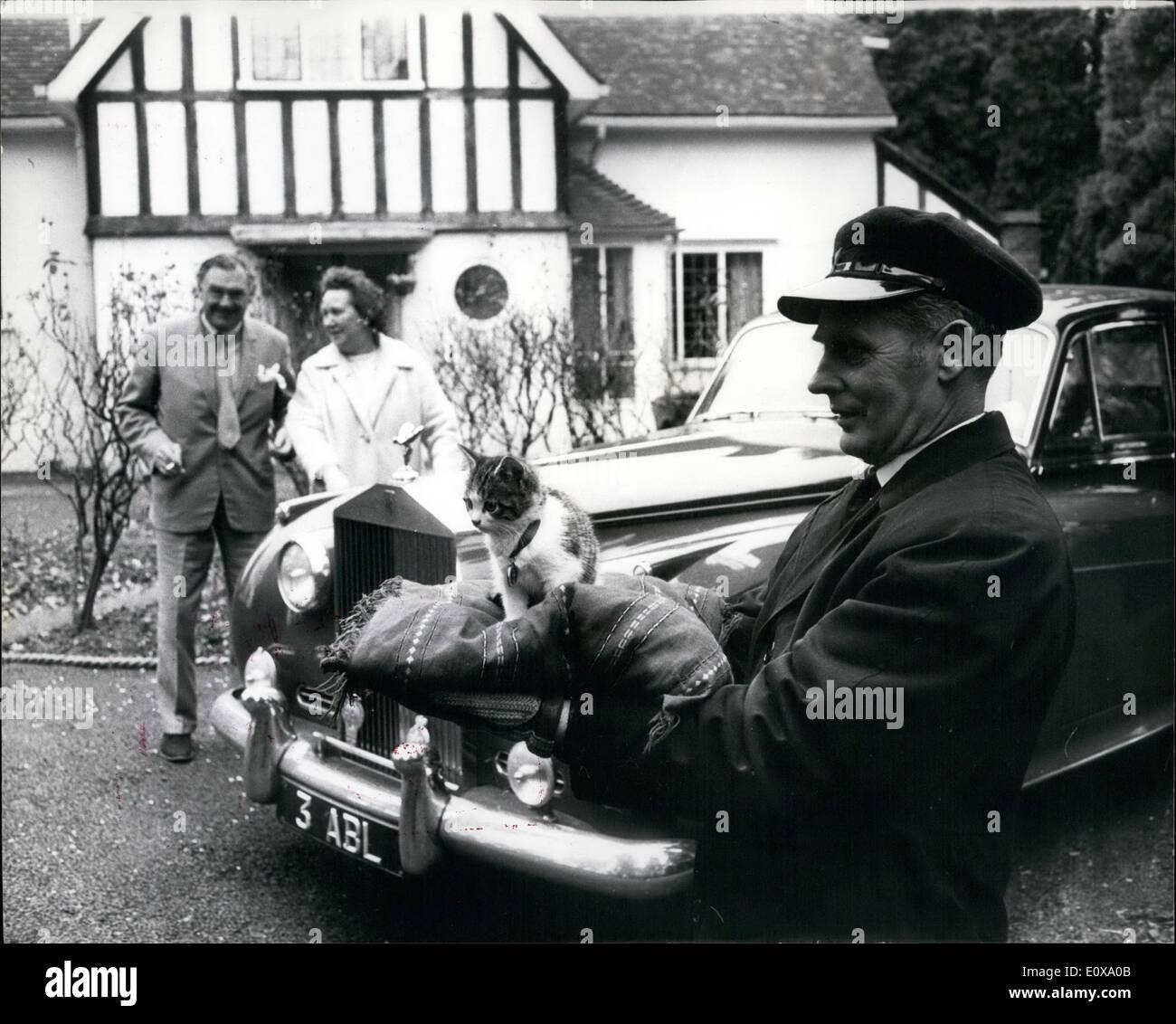 Dec. 12, 1965 - Holly The Kitten Goes To New Home By Rolls. Holly the ...