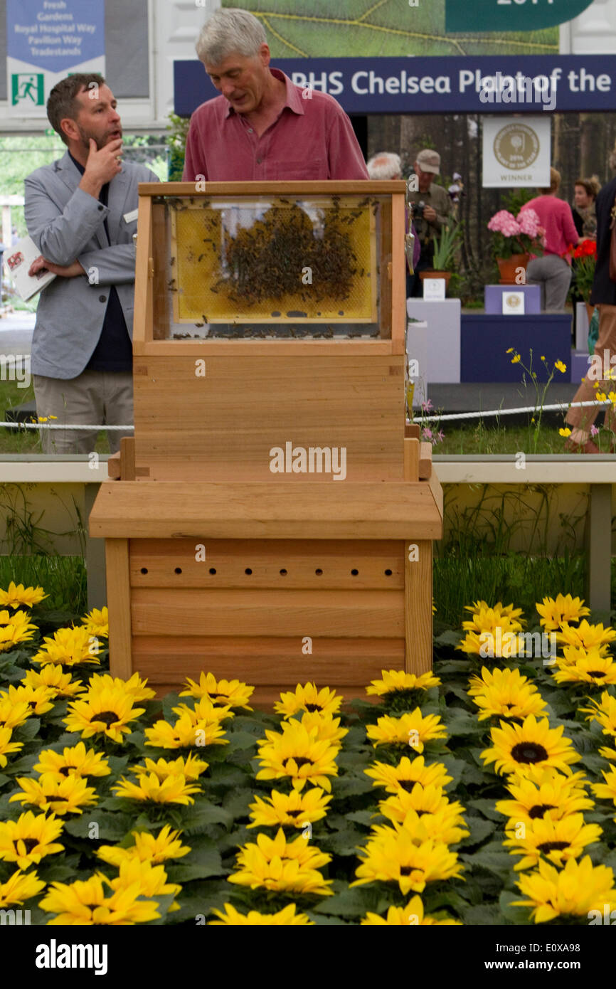 Chelsea, UK. 20th May 2014. Bee hive on display at the RHS Chelsea ...