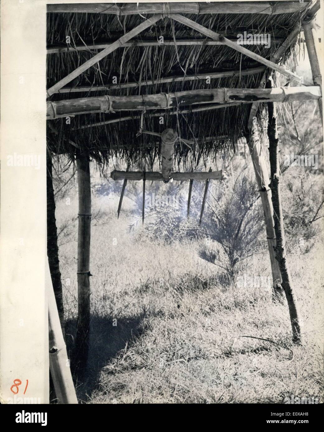 Nov. 11, 1965 - Vietcong Man Trap. One of the many bobby-traps thought ...