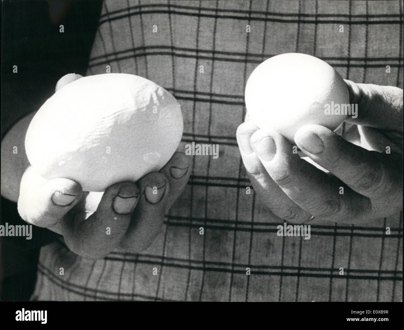 Mar. 03, 1966 - Giant eggs of a hen from Lodrino, Ticino, Switzerland ...