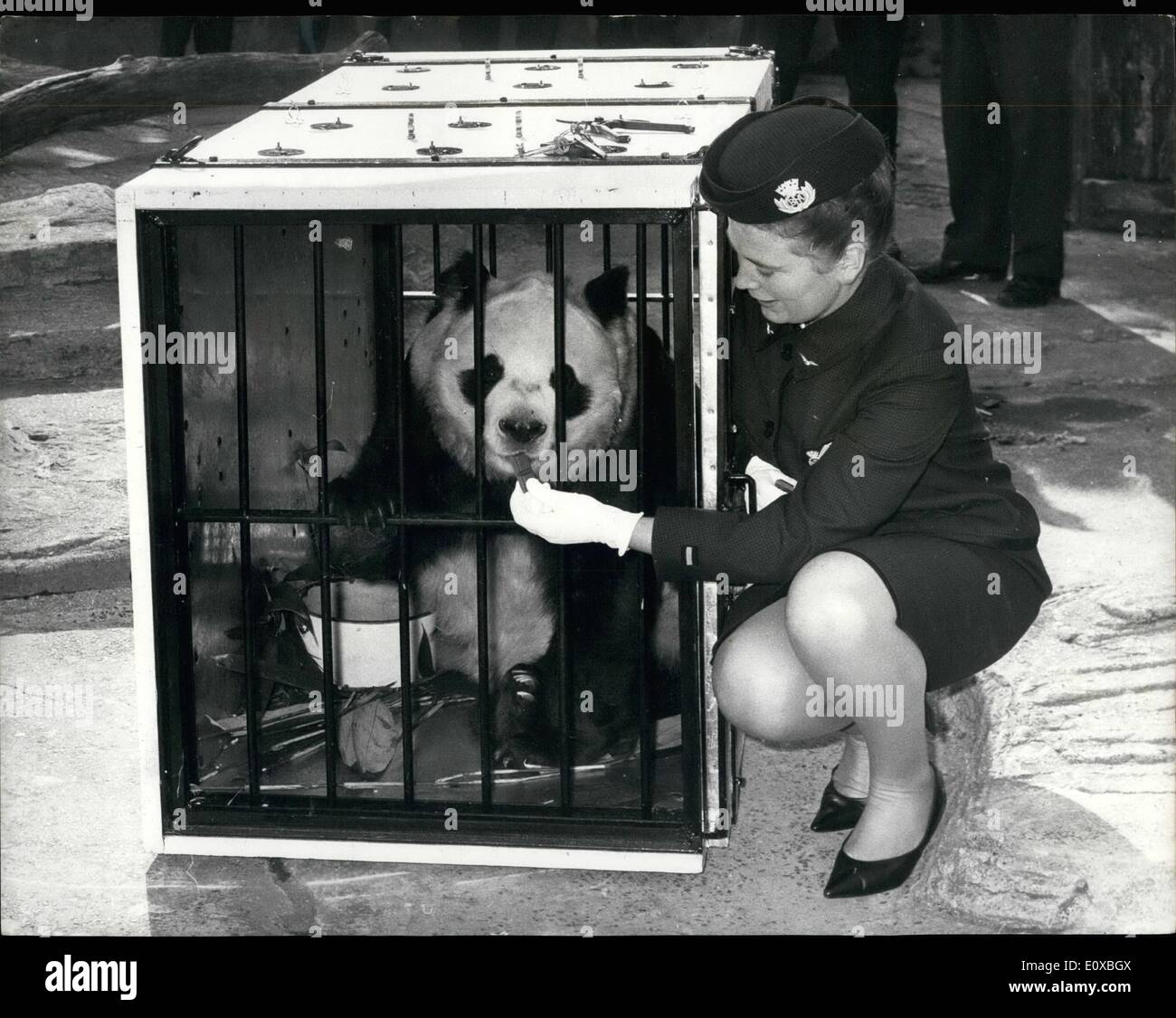 Mar. 03, 1966 - Chi-Chi Goes To Moscow On Friday: When Chi-Chi the ...