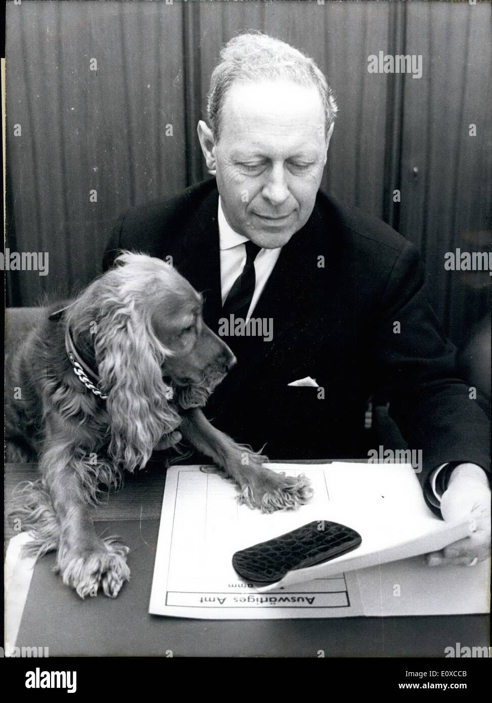 Apr. 04, 1966 - Cockerspaniel Pummy is trusted with diplomacy and ...