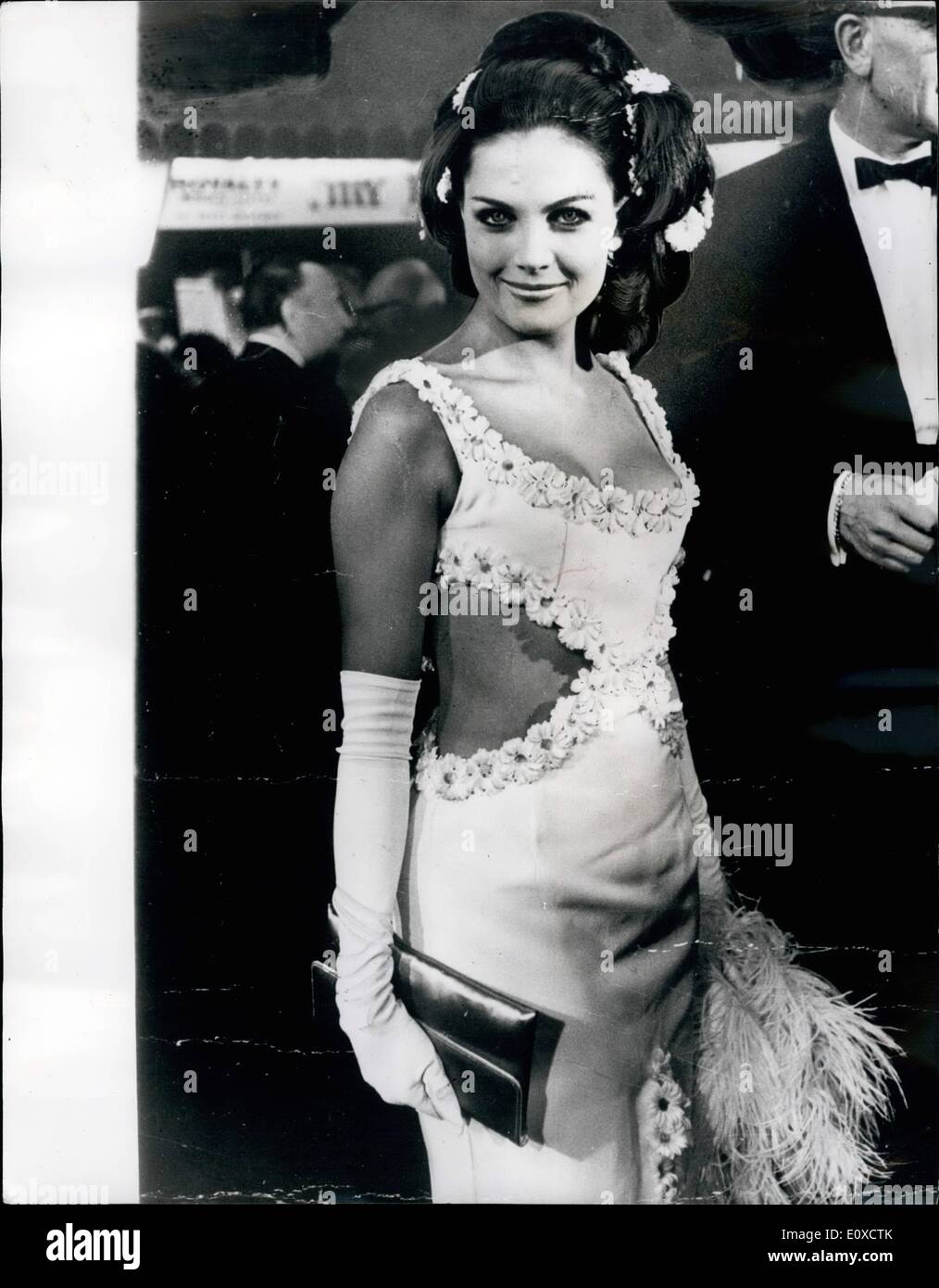 Former miss south africa hi-res stock photography and images - Alamy