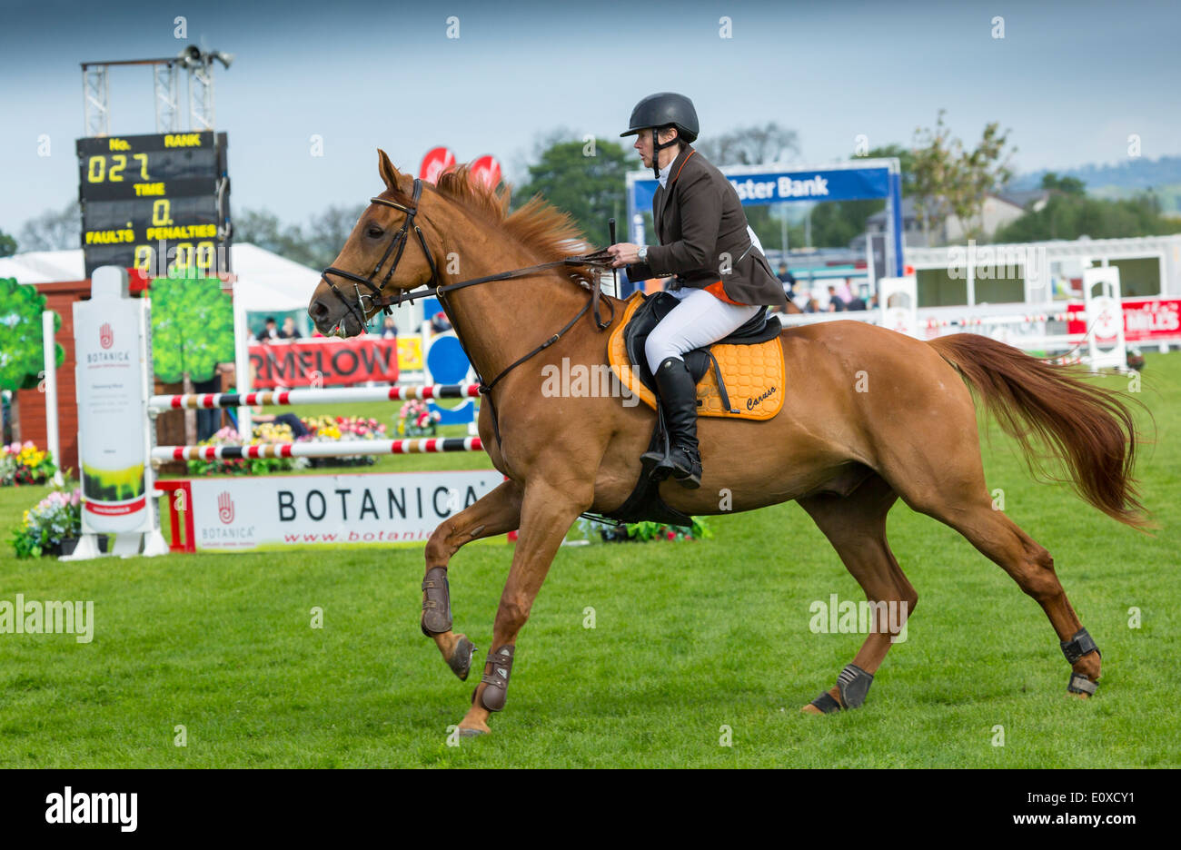 Show Jumping Competitors at the 2014 Balmoral Show, The Maze Lisburn ...