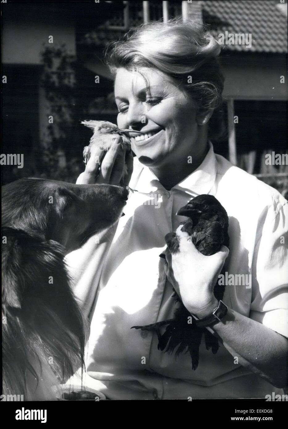 Erica beer erica beer erica hi-res stock photography and images - Alamy