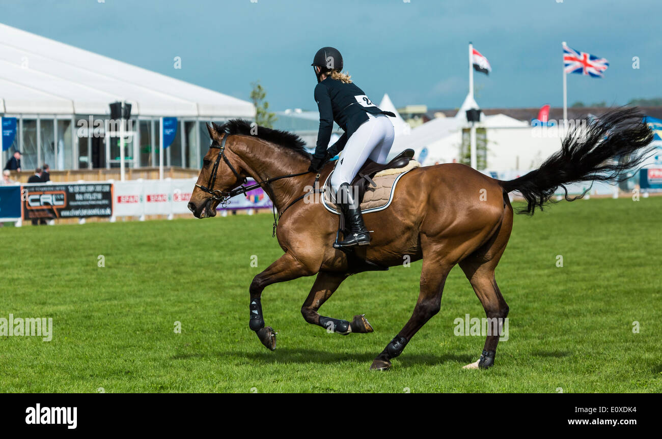 Show Jumping Competitors at the 2014 Balmoral Show, The Maze Lisburn ...