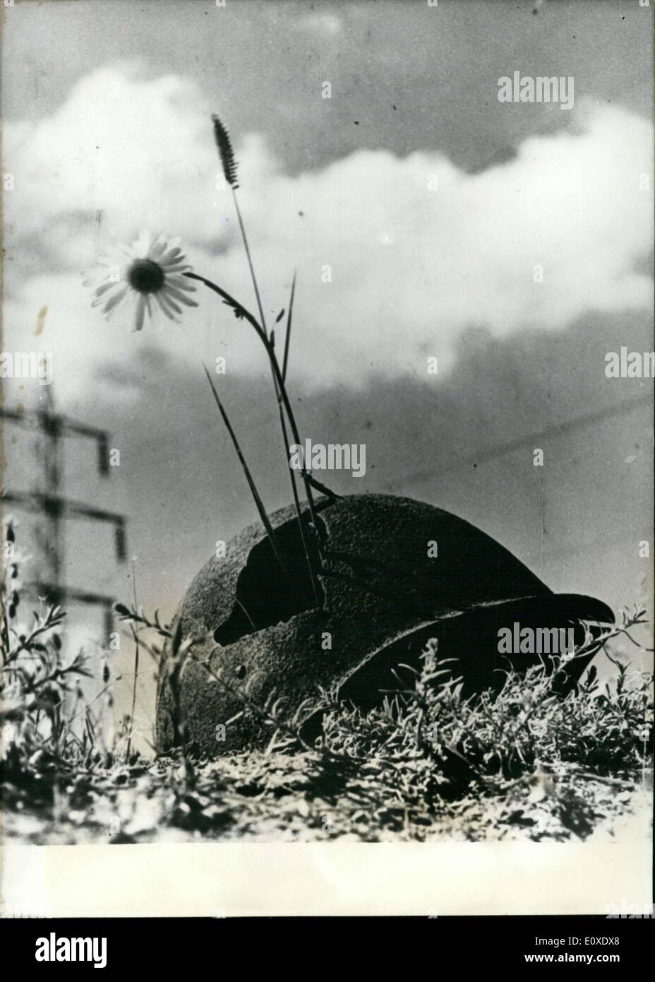 Jun. 28, 1966 - This flower, growing out of this perforated helmet, is ...