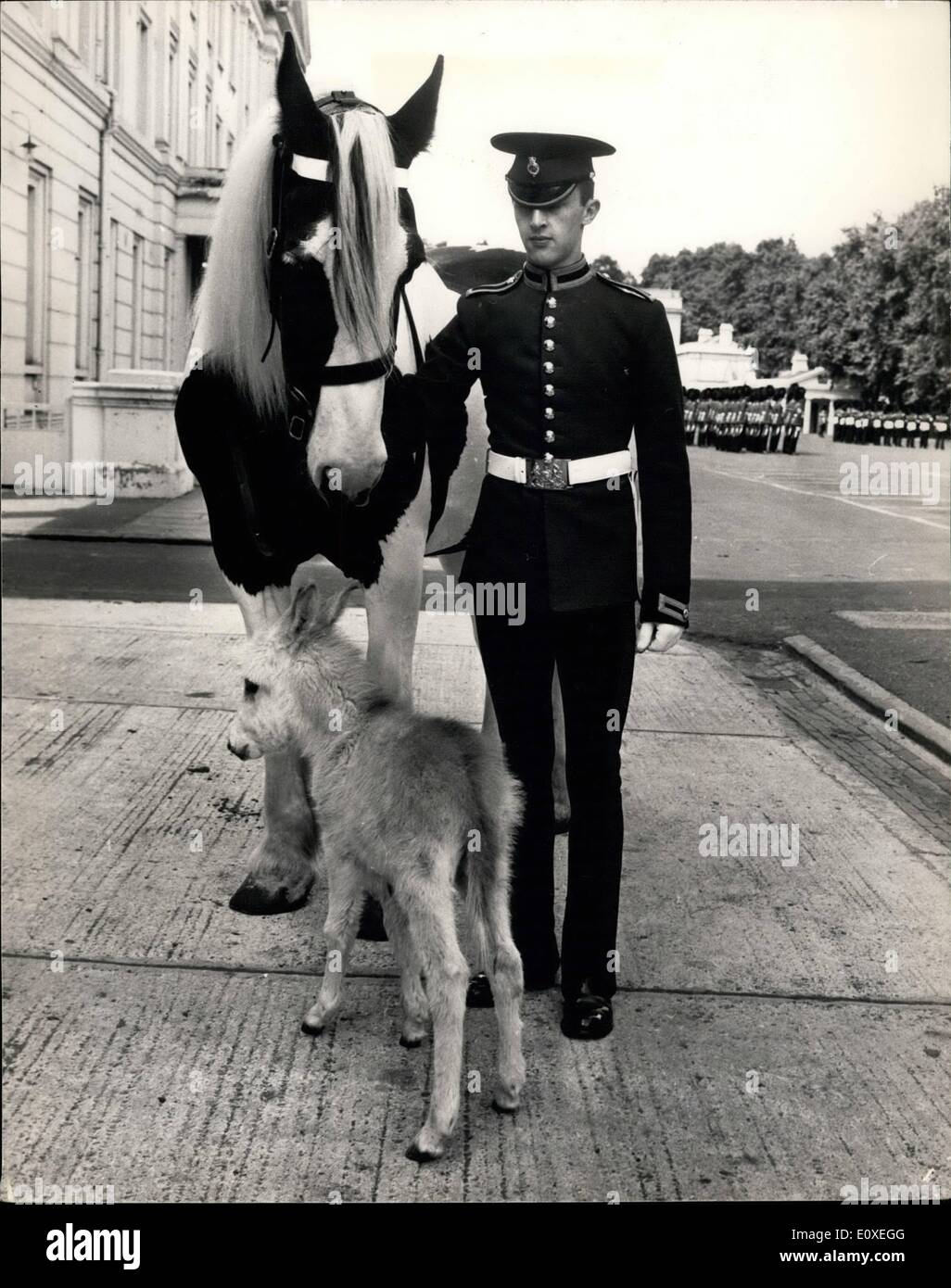 Wellington Barracks In Westminster High Resolution Stock Photography ...