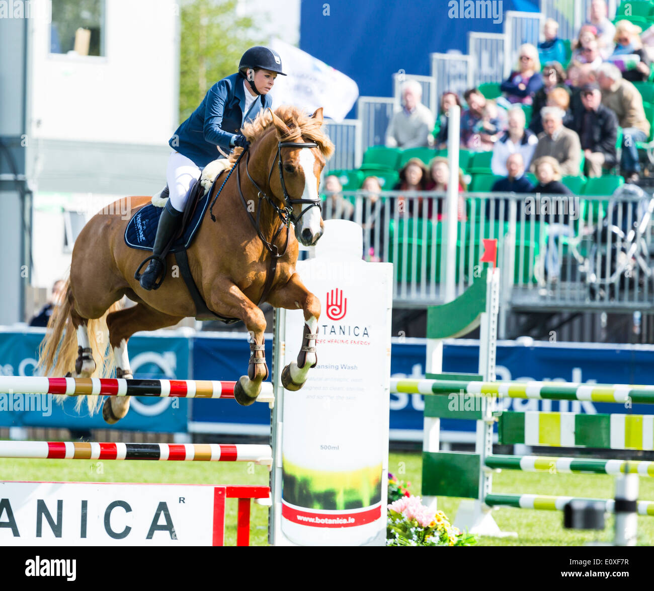 Show Jumping Competitors at the 2014 Balmoral Show, The Maze Lisburn ...