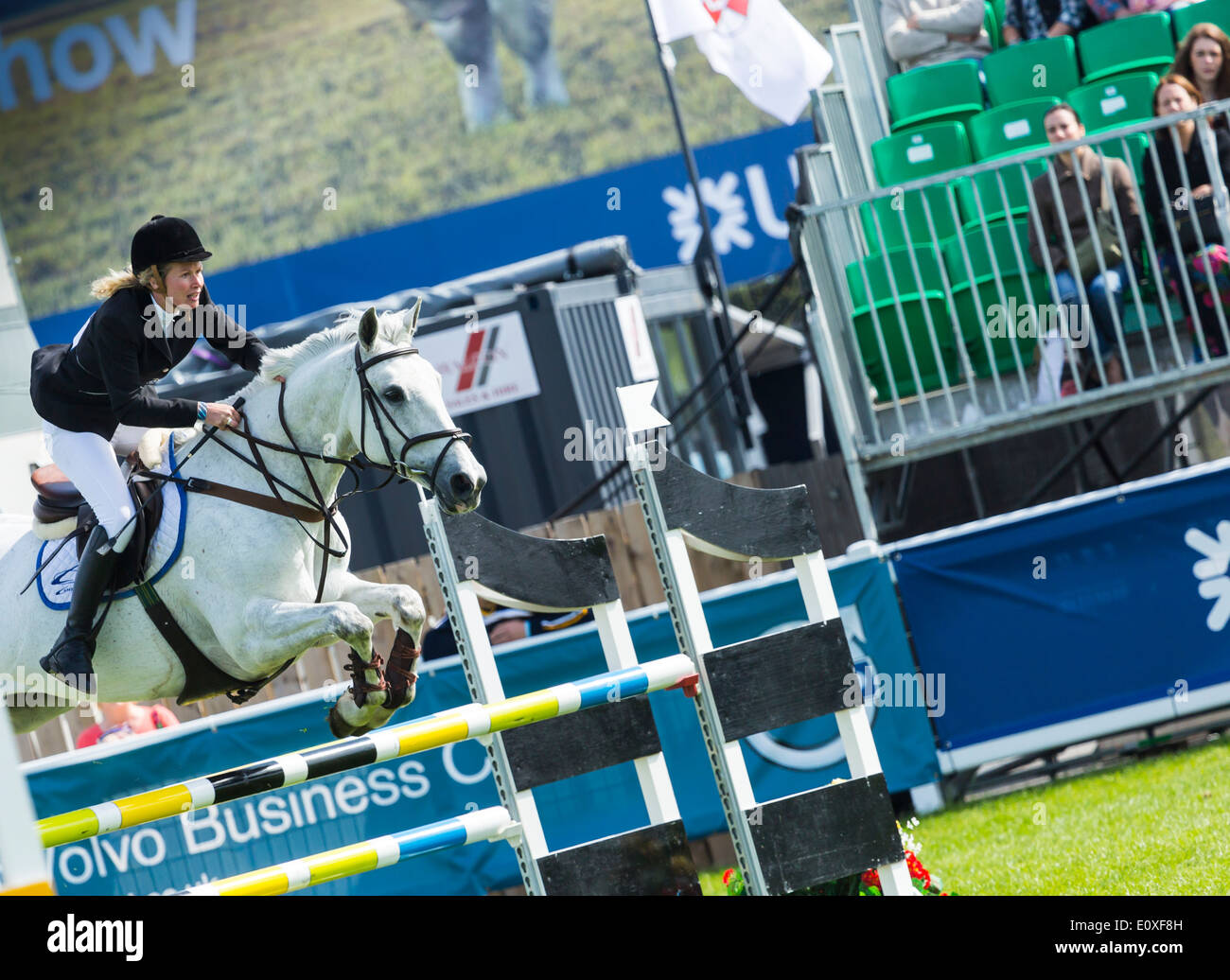 Show Jumping Competitors at the 2014 Balmoral Show, The Maze Lisburn ...