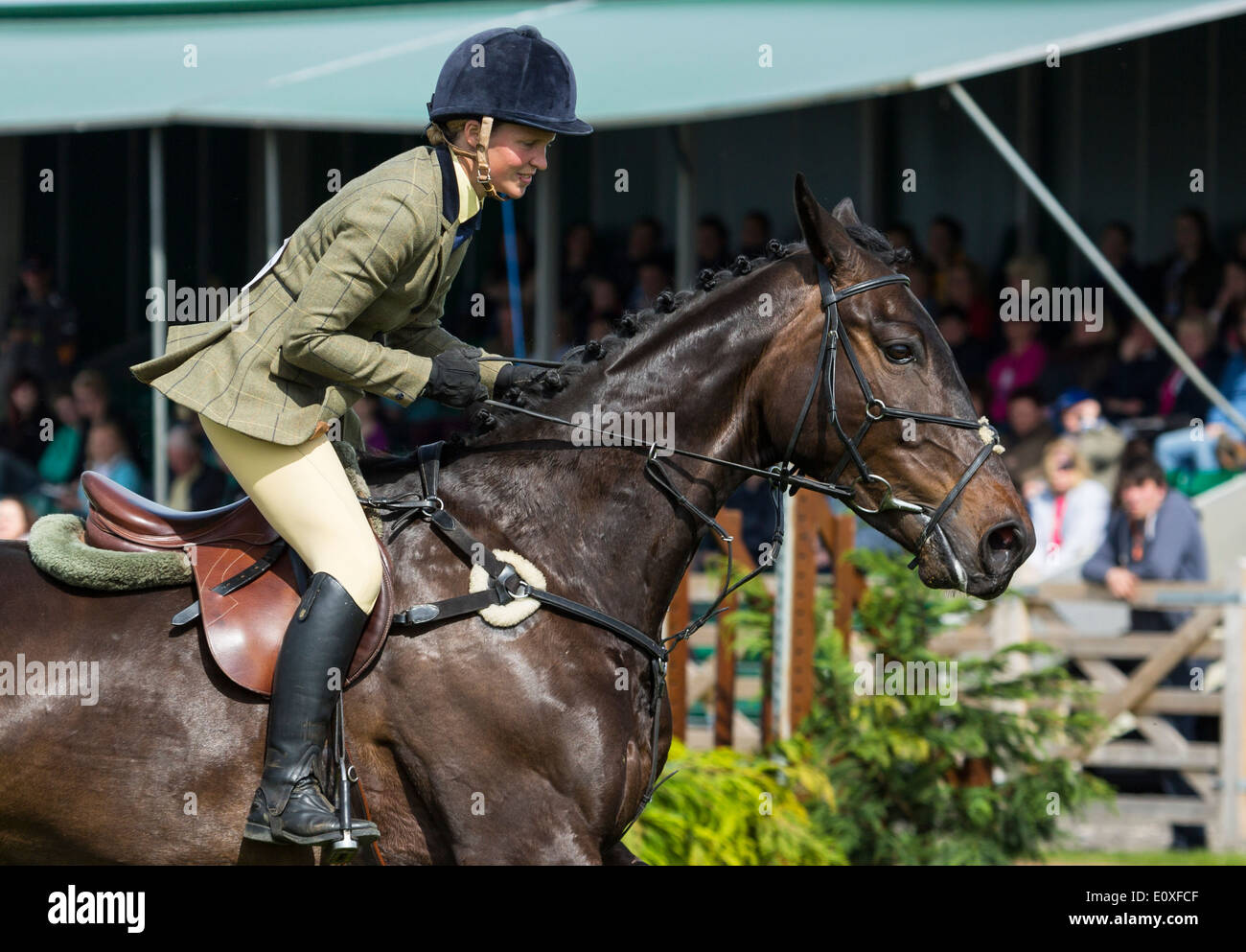 Show Jumping Competitors at the 2014 Balmoral Show, The Maze Lisburn ...