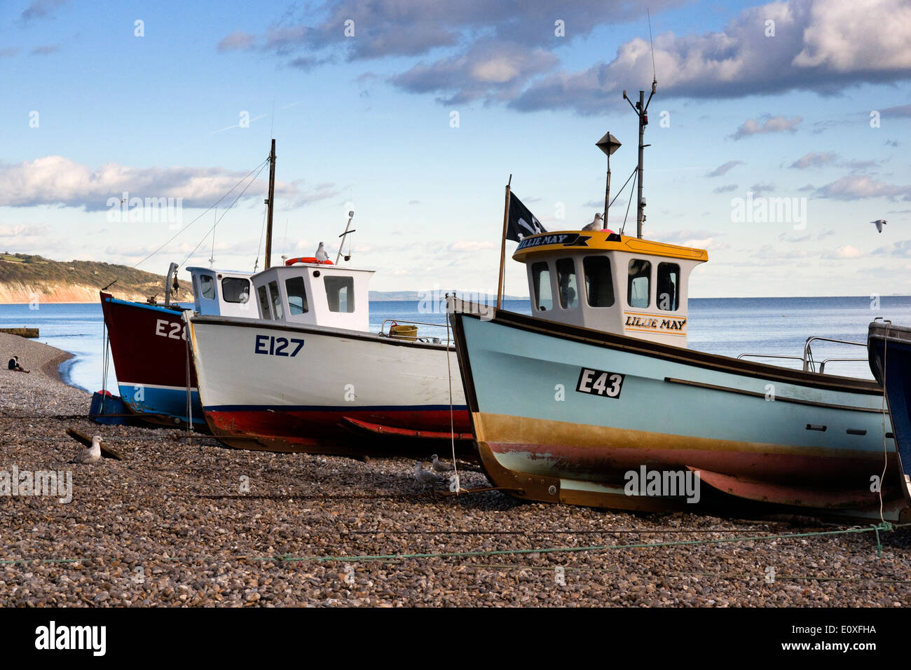 Devon seaside hi-res stock photography and images - Alamy