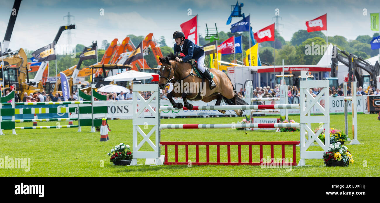 Show Jumping Competitors at the 2014 Balmoral Show, The Maze Lisburn ...