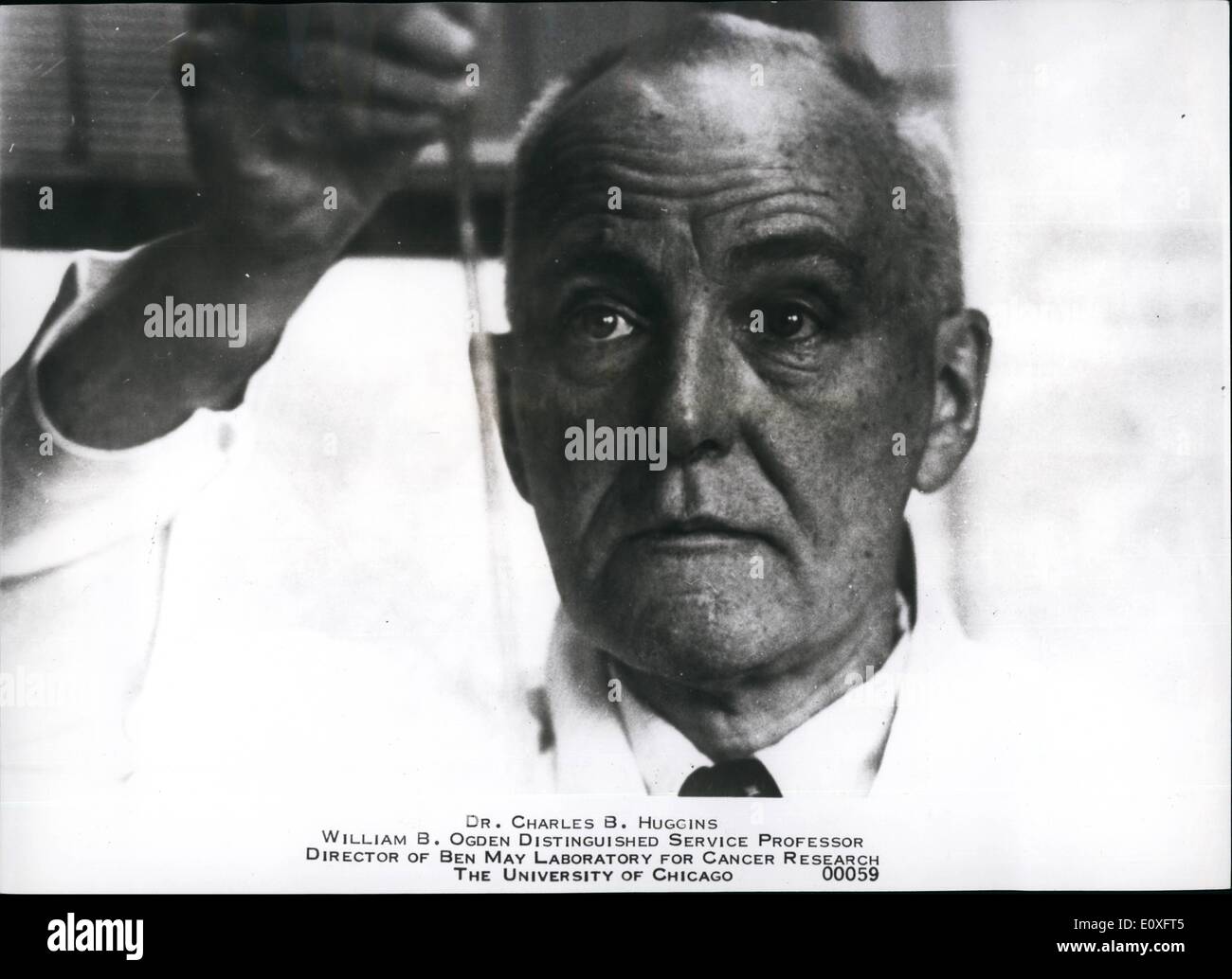 Huggins hi-res stock photography and images - Alamy