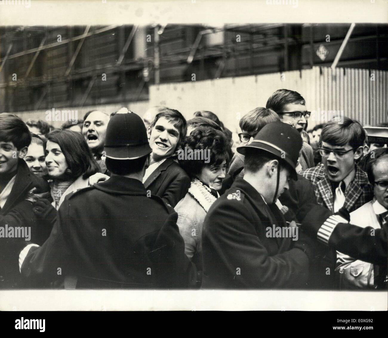 White rhodesians hi-res stock photography and images - Alamy