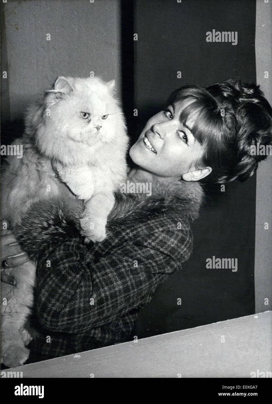 Kitty model hi-res stock photography and images - Alamy