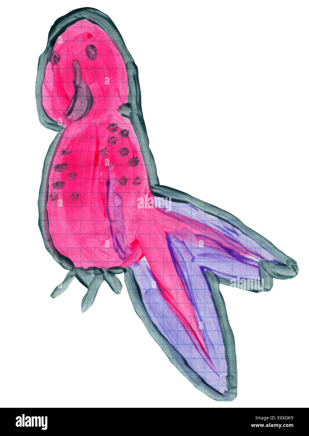 Isolated abstract parrot painted on graph paper Stock Photo - Alamy