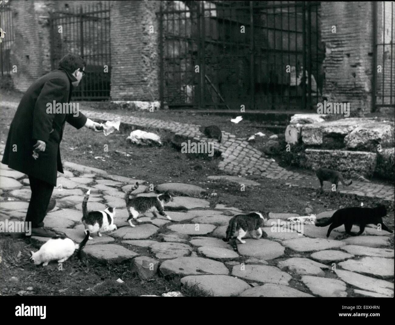 Jan. 01, 1967 - Apprehension for the cats. A notice announces that the ...