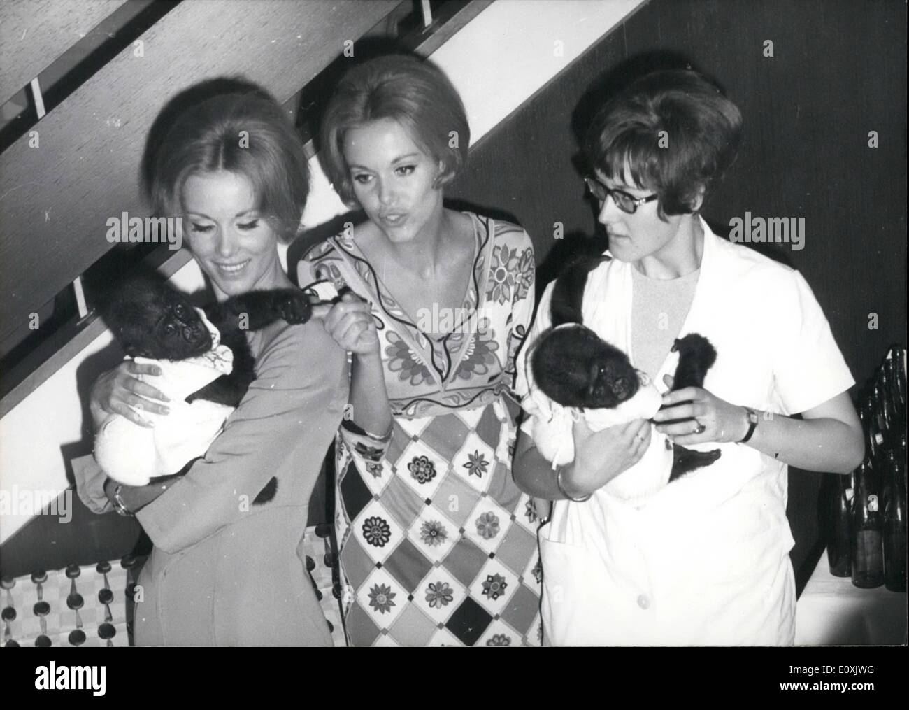 The famous kessler twins hi-res stock photography and images - Alamy