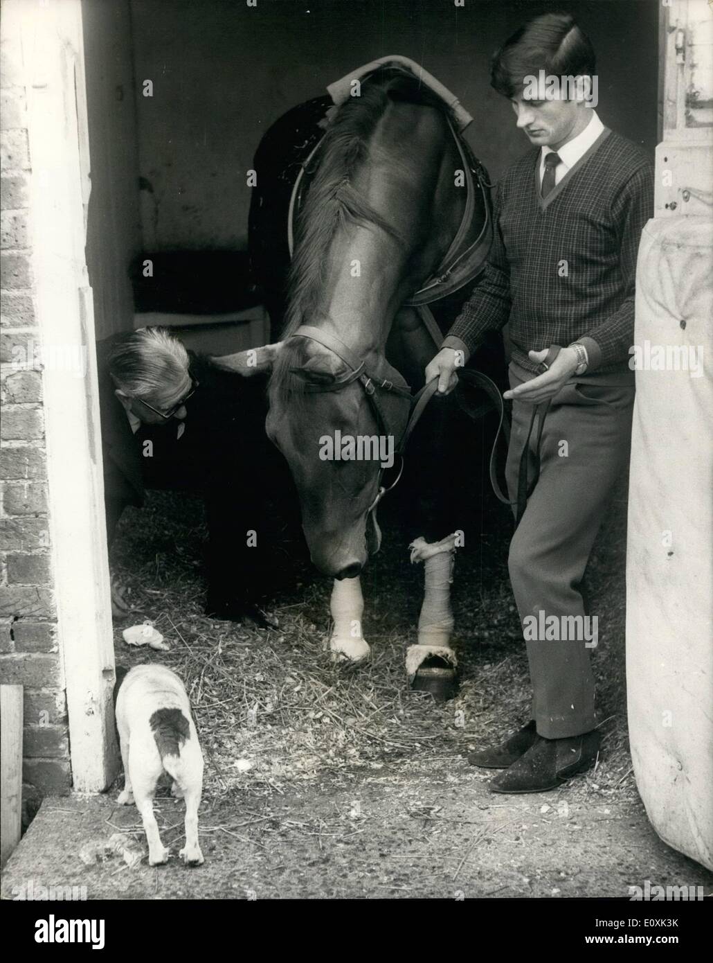 Injured vets hi-res stock photography and images - Alamy