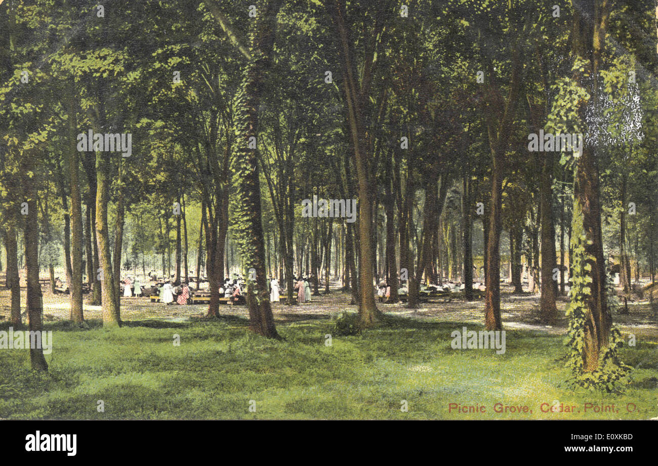 Picnicgrounds hi-res stock photography and images - Alamy