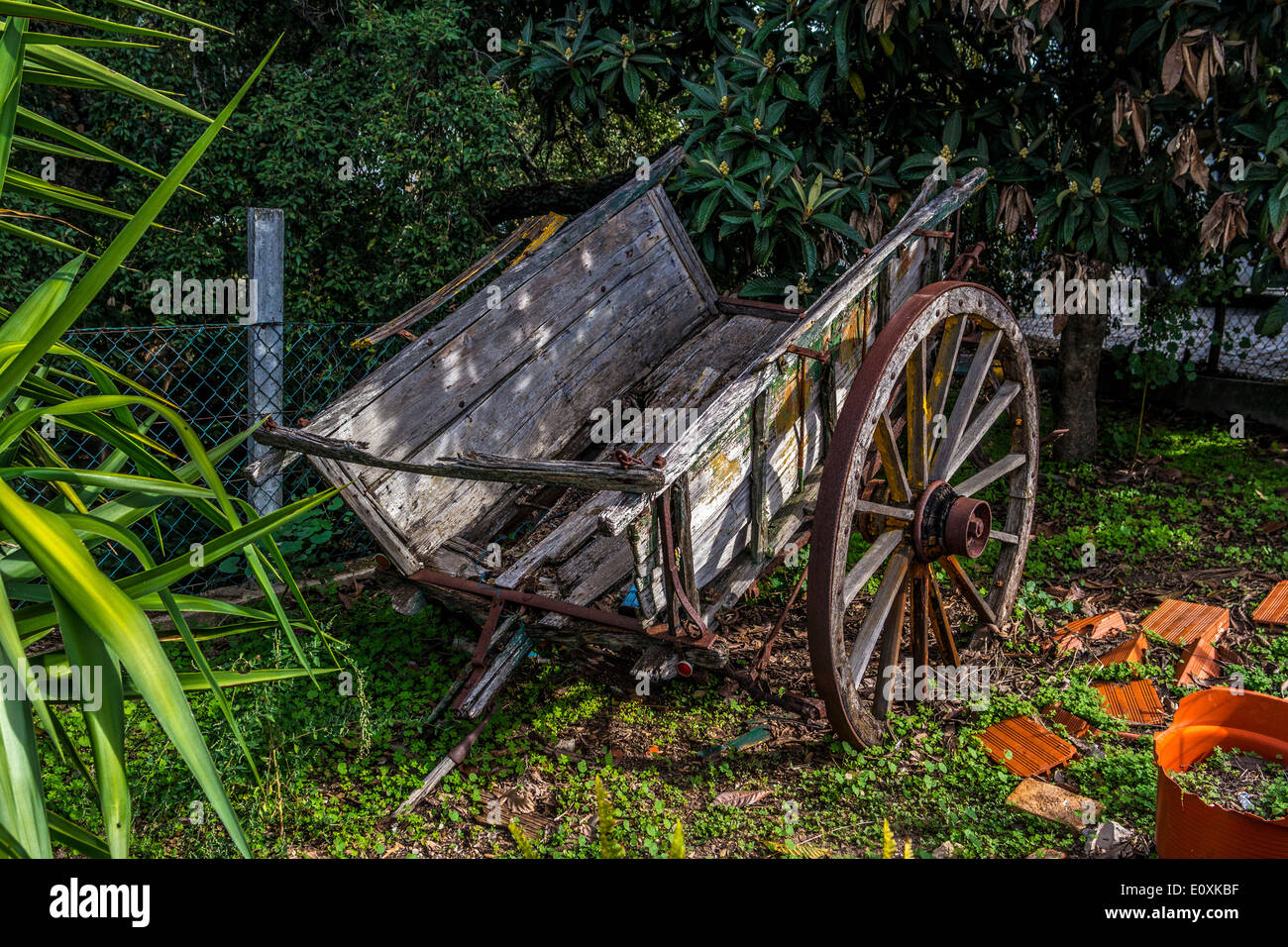 Old abandoned wooden cart in a corner of a field Stock Photo - Alamy