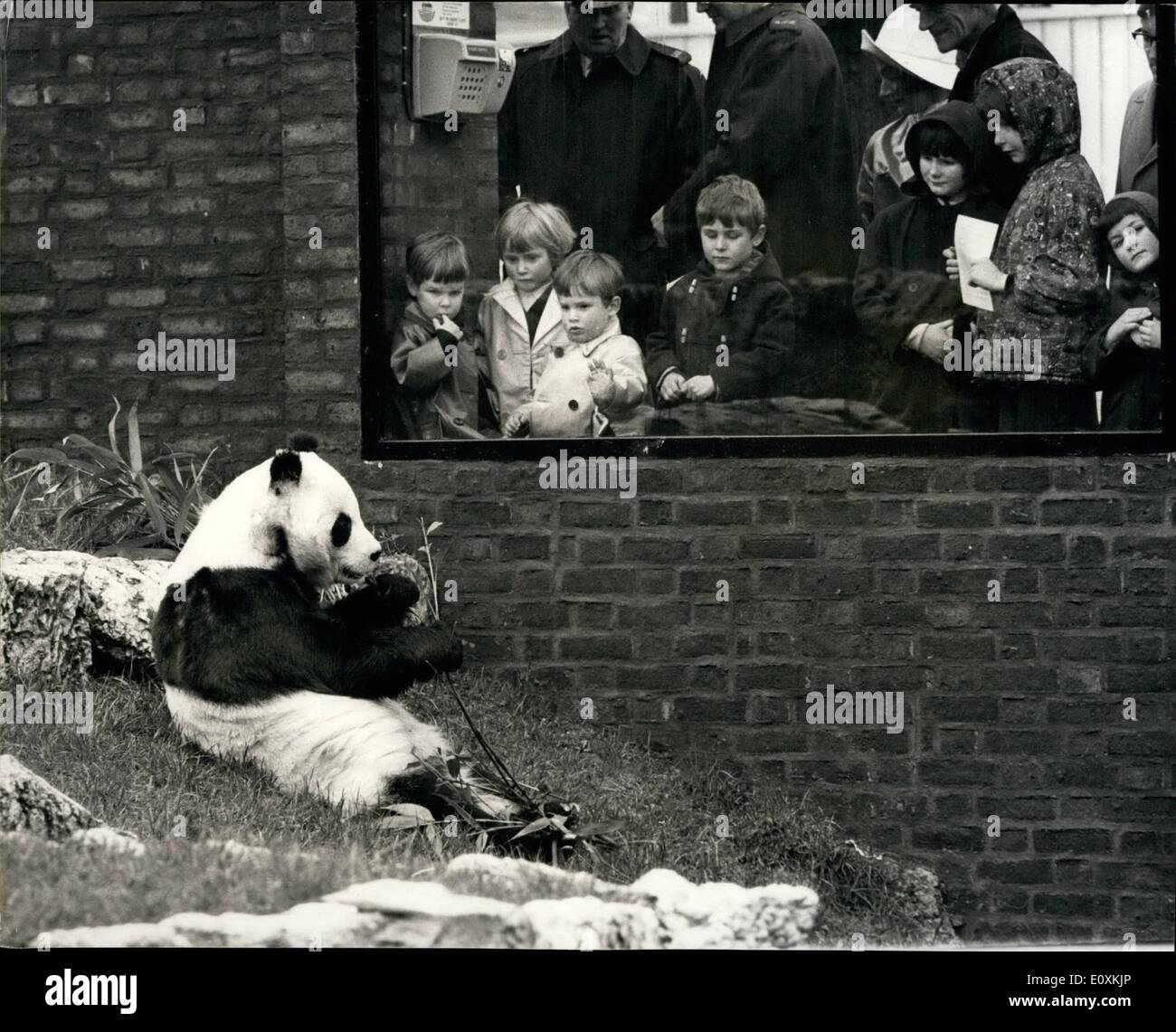 Chi chi the panda hi-res stock photography and images - Alamy